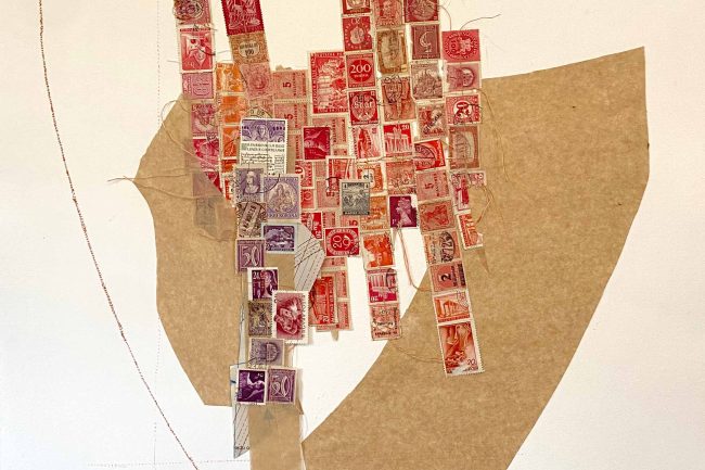 Molde Corpiño Pia Picasso Cazón